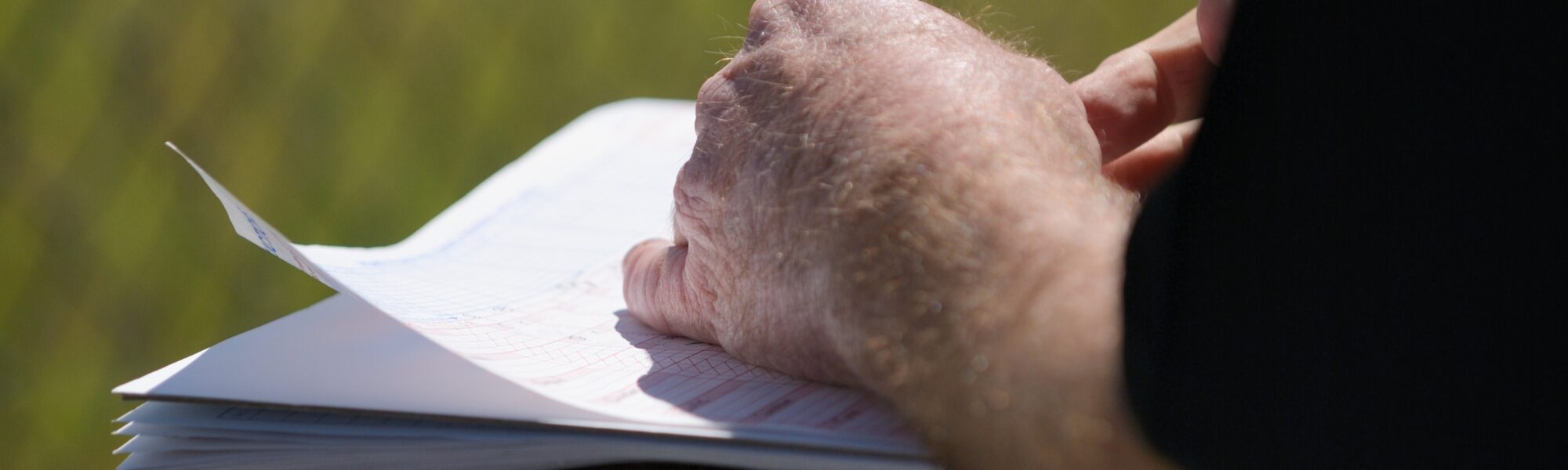 Game Administration - Diamond Officials